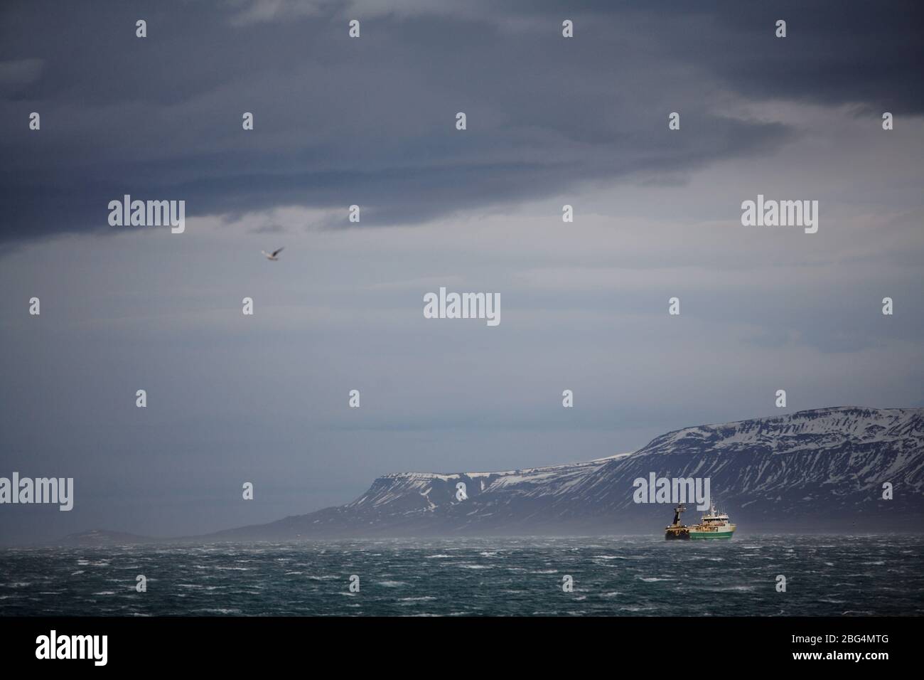 Commercial trawler fish hi-res stock photography and images - Alamy