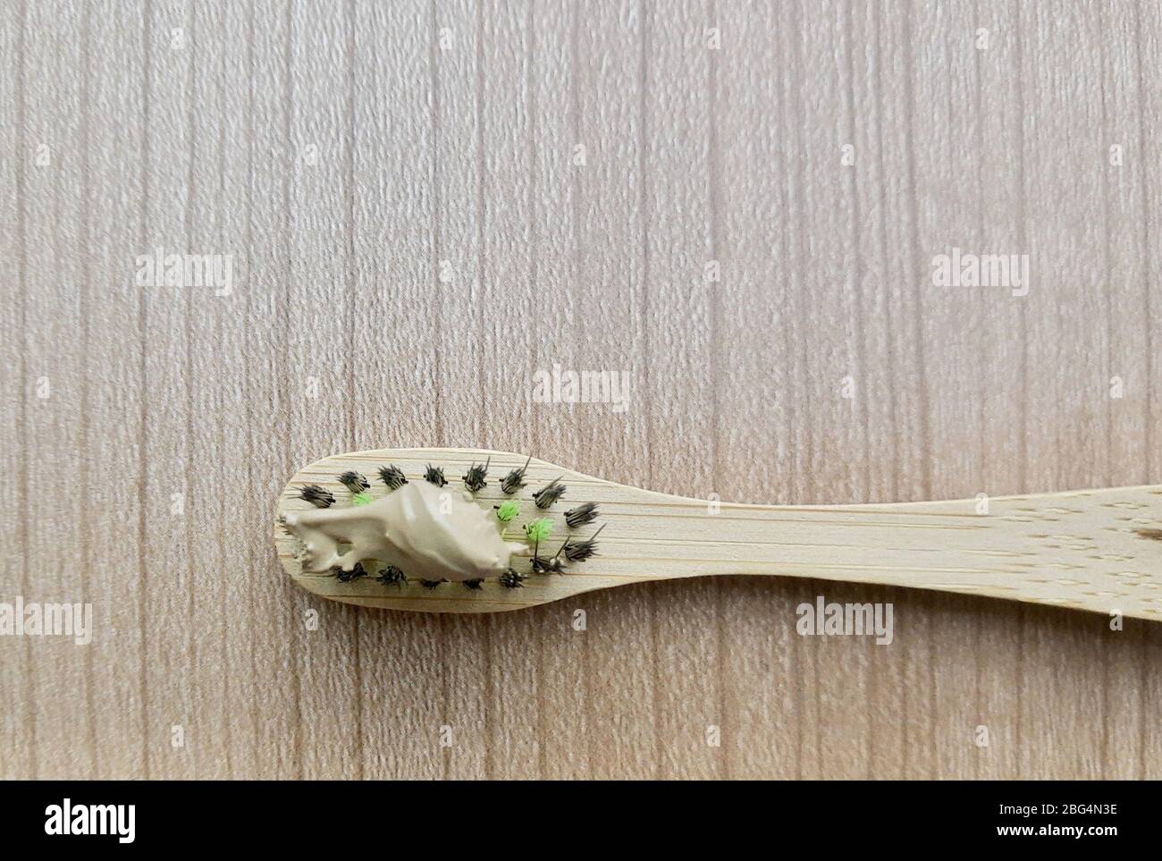 Wooden Bamboo Toothbrushes with Herbal Toothpaste. An Oral Hygiene ...