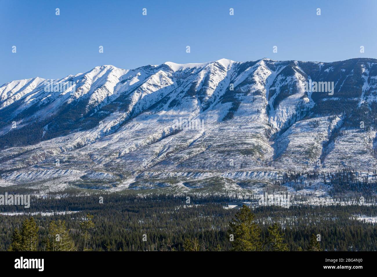 close-up view of the mountain peak with trees and snow on it sunny ...