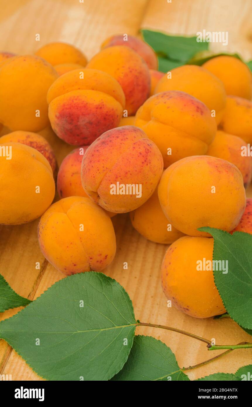 Apricot on wood. Open apricot with stone Stock Photo - Alamy