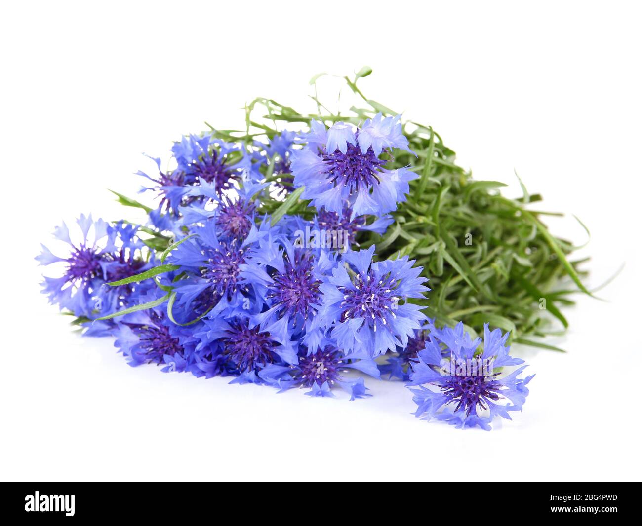 Beautiful bouquet of cornflowers ,isolated on white Stock Photo - Alamy