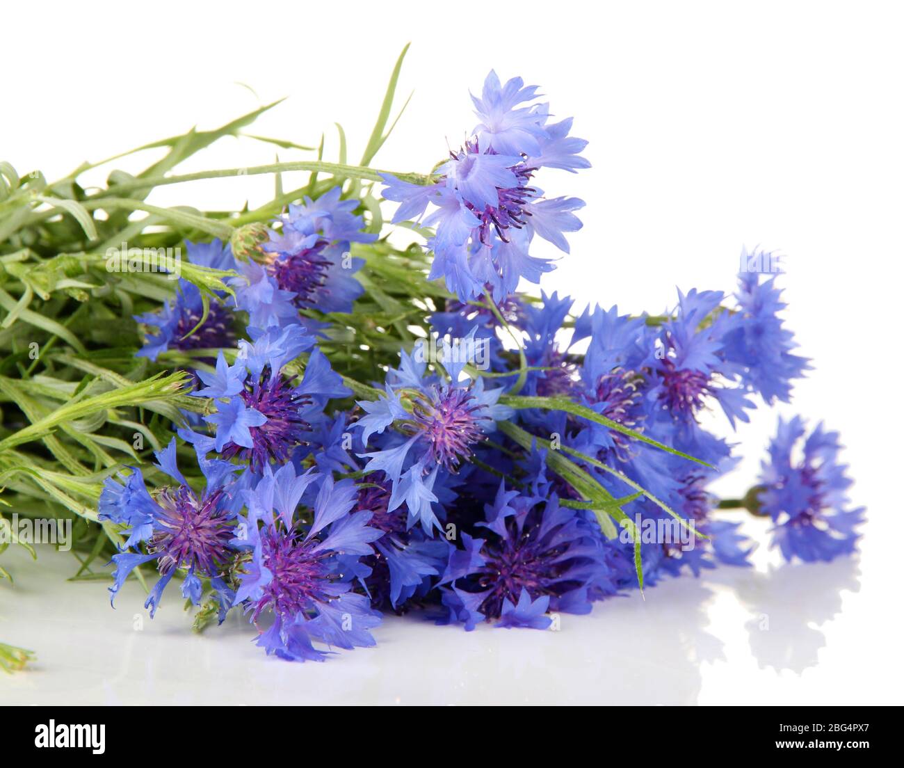Beautiful bouquet of cornflowers ,isolated on white Stock Photo - Alamy