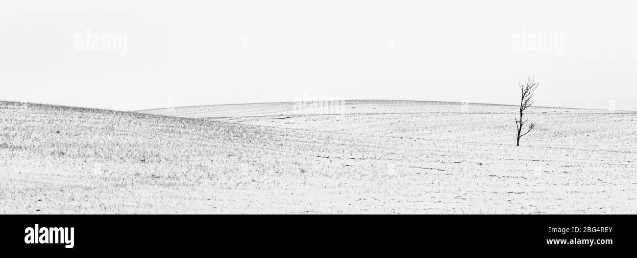 Saskatchewan prairie Black and White Stock Photos & Images - Alamy
