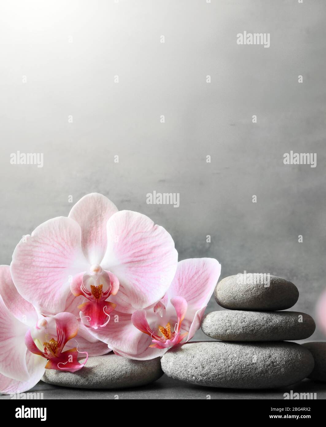 Spa stones on gray background with orchids. Spa concept Stock Photo - Alamy
