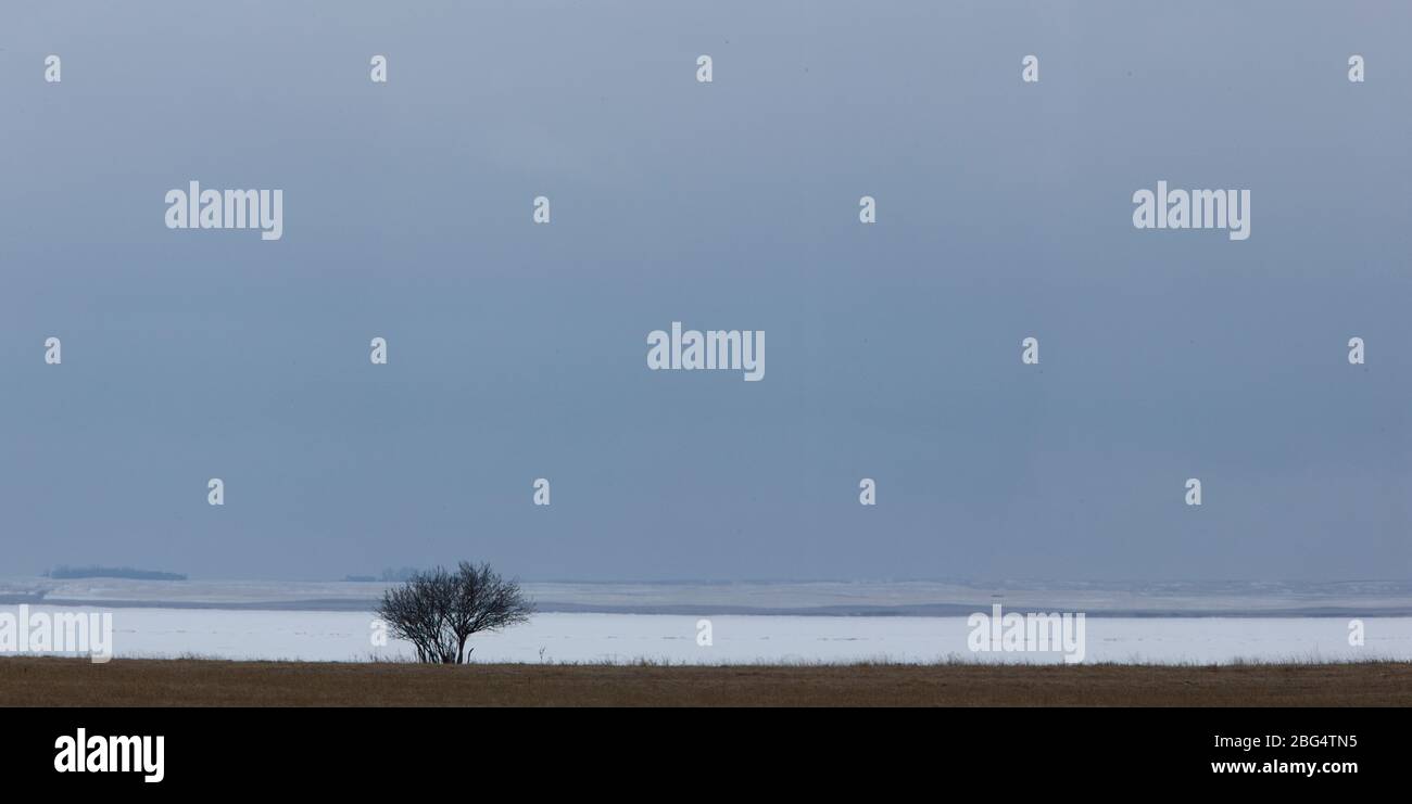 Landscape Saskatchewan Prairie Rurual Scene Panorama snowfall Stock ...