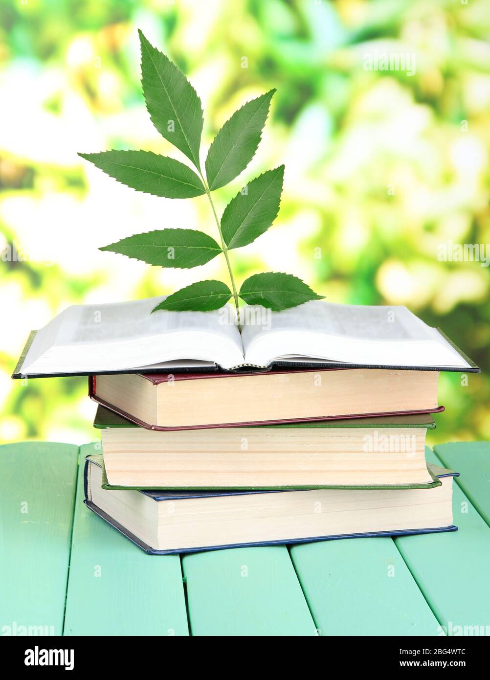 Books with plant on table on bright background Stock Photo - Alamy