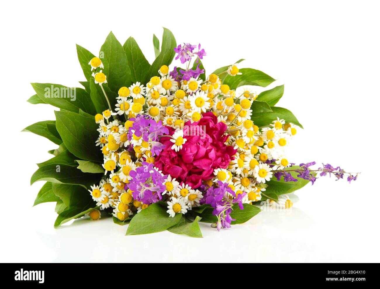 Bouquet of wild flowers, isolated on white Stock Photo - Alamy