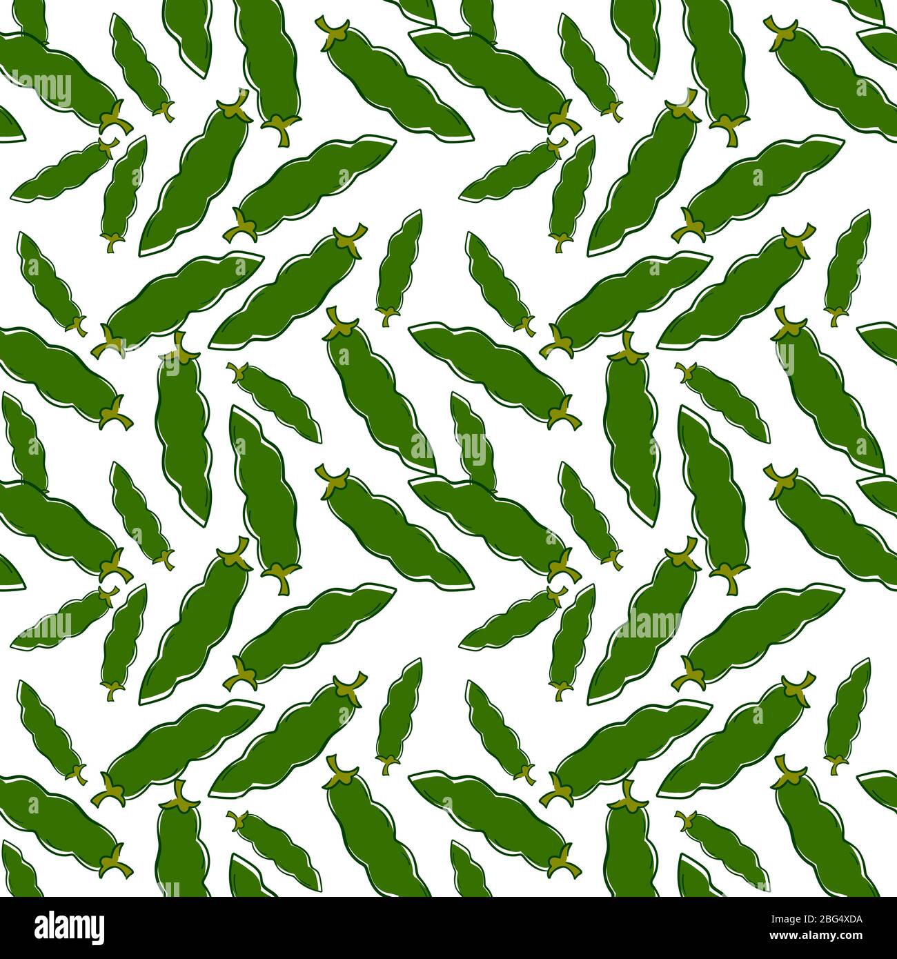 Green beans wallpaper, illustration, vector on white background Stock ...