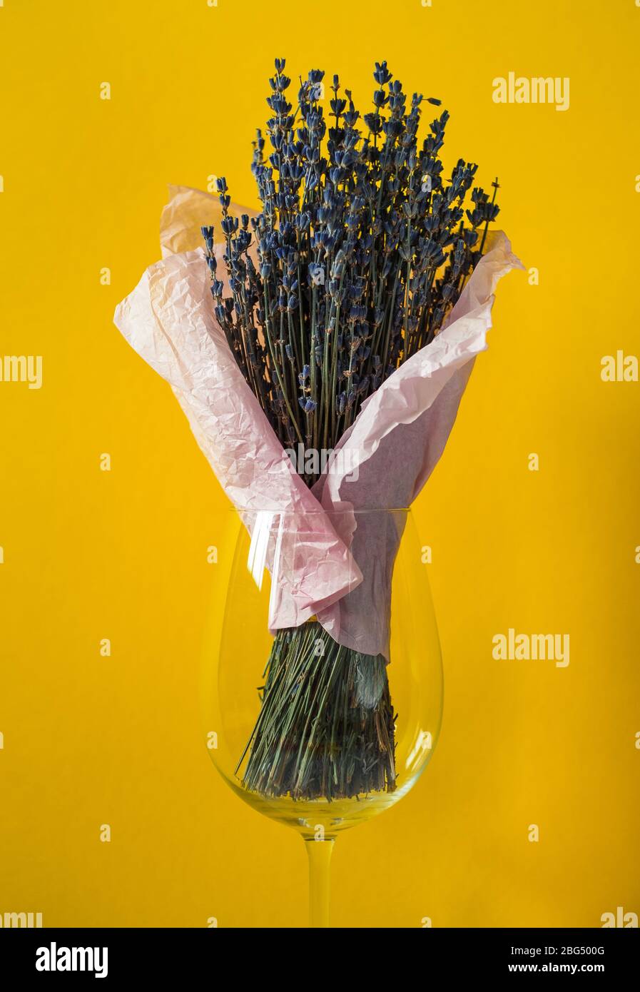 Lavender branches hi-res stock photography and images - Alamy