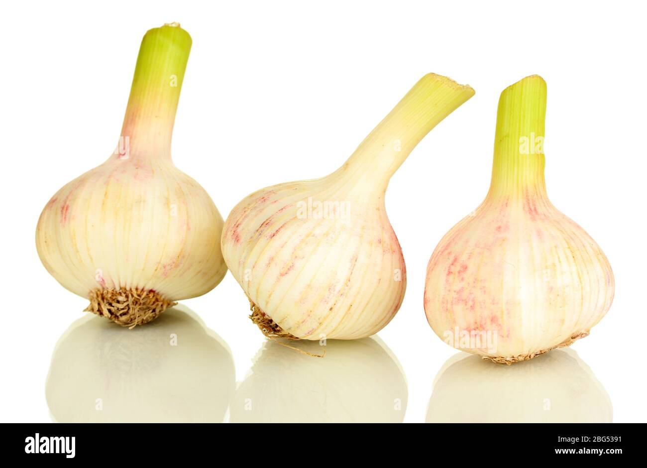 Garlic isolated on white Stock Photo - Alamy