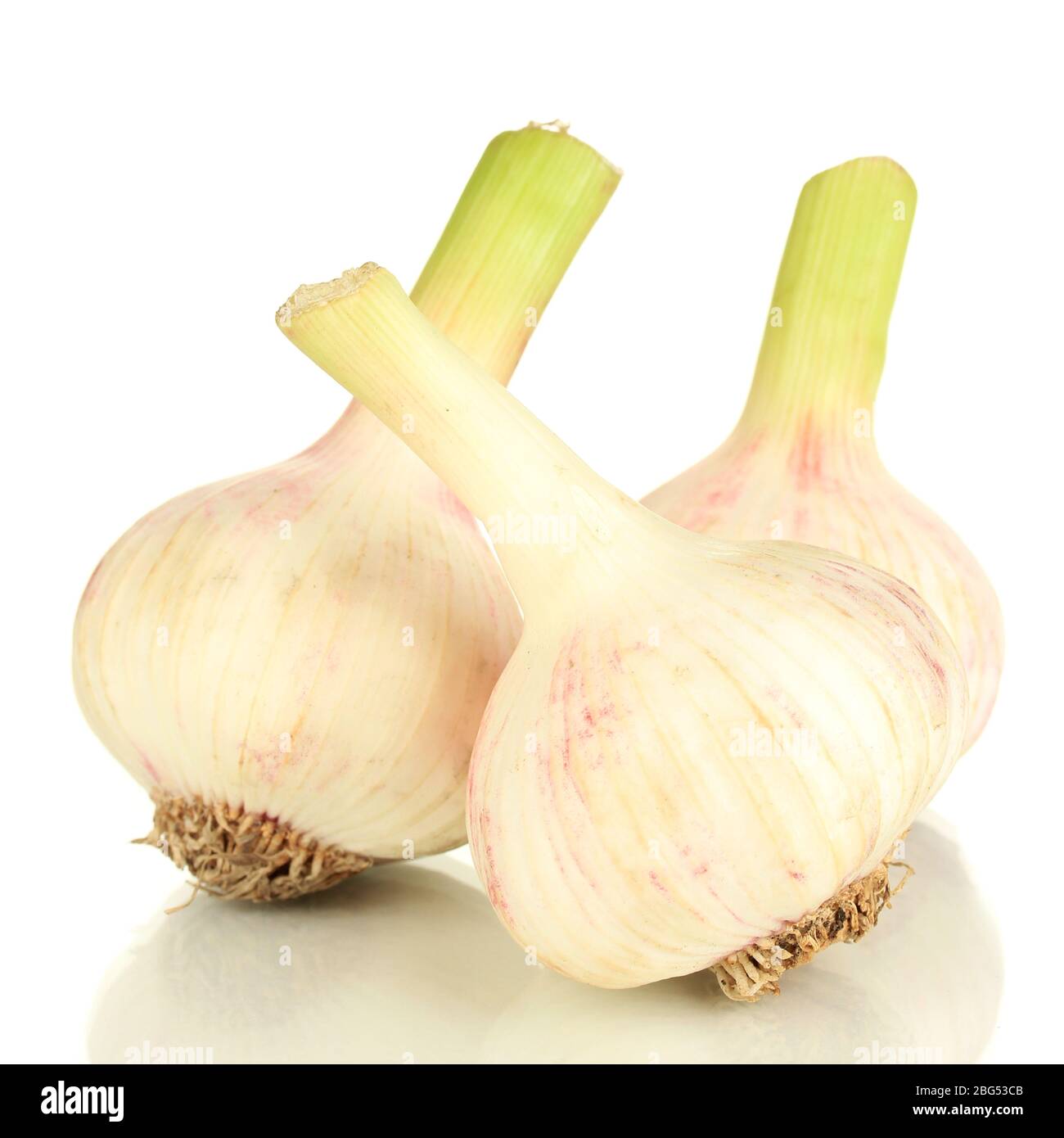 Garlic isolated on white Stock Photo - Alamy