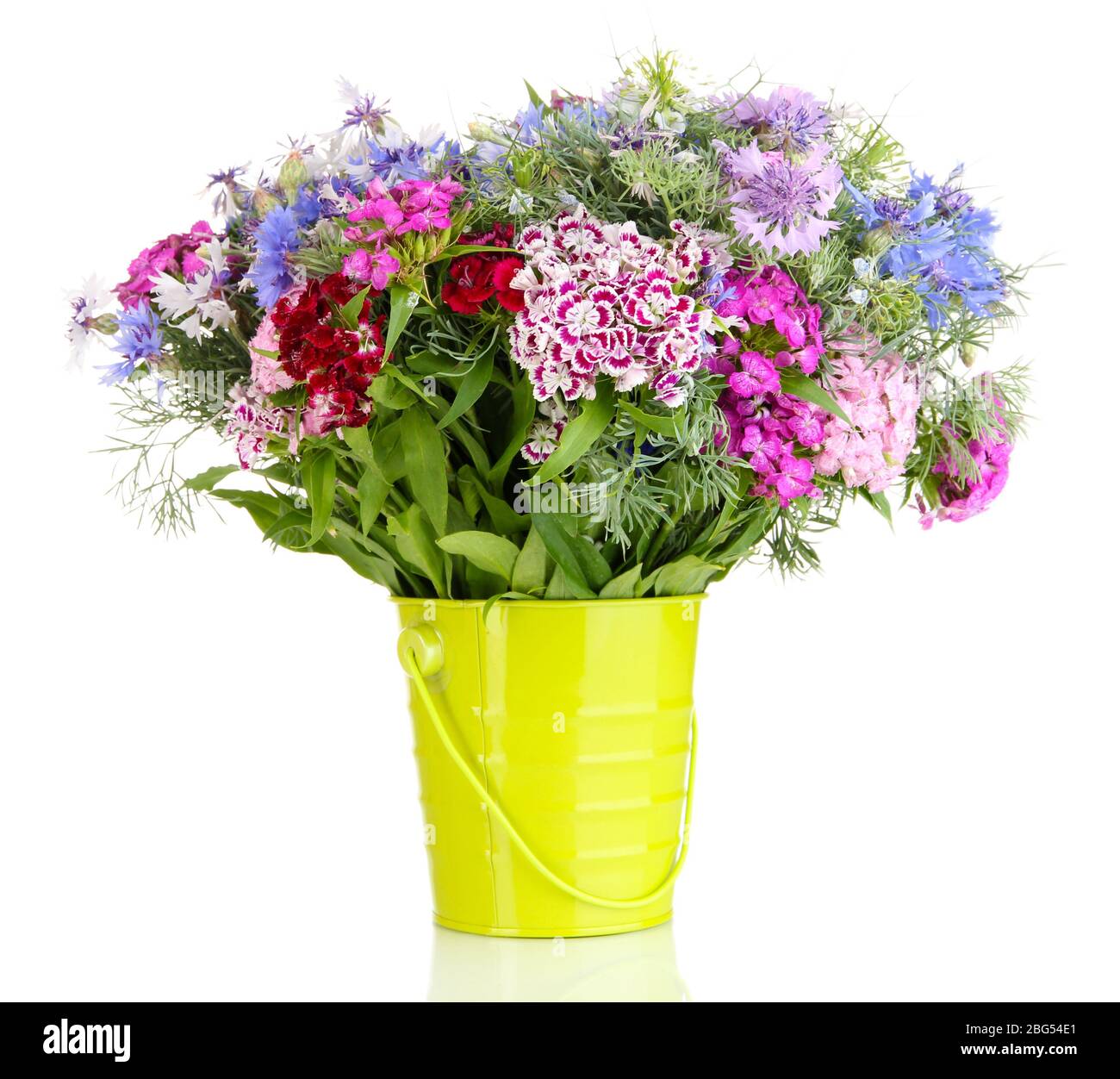 Purple pail hi-res stock photography and images - Alamy