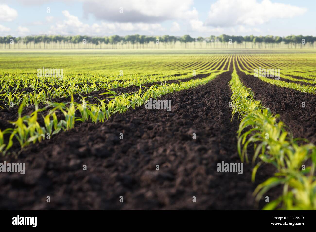 Agriculture Background