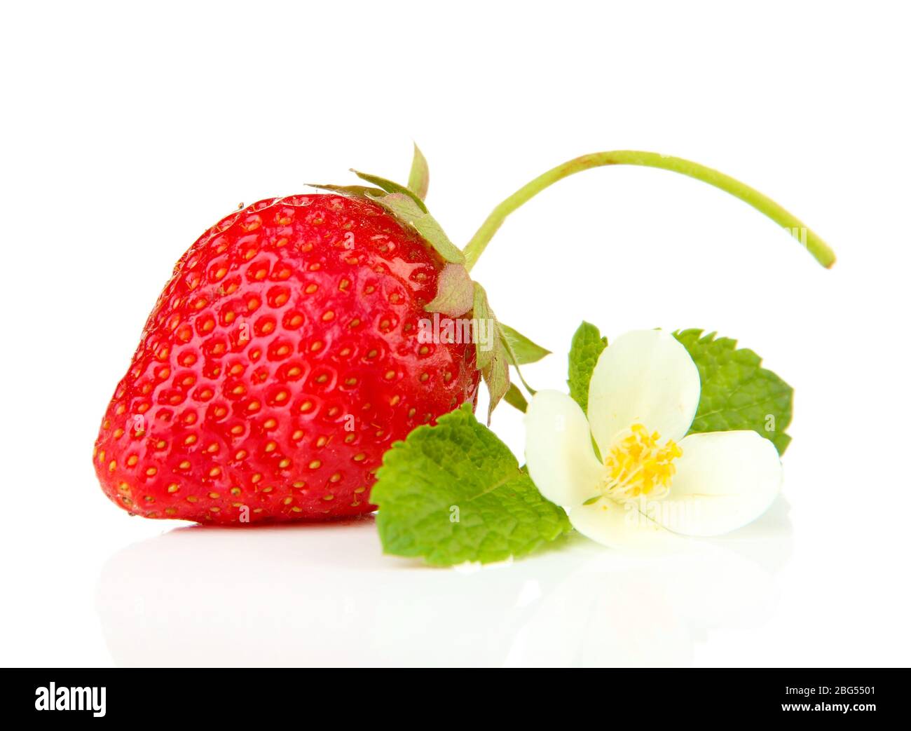 Ripe sweet strawberry and flower, isolated on white Stock Photo - Alamy