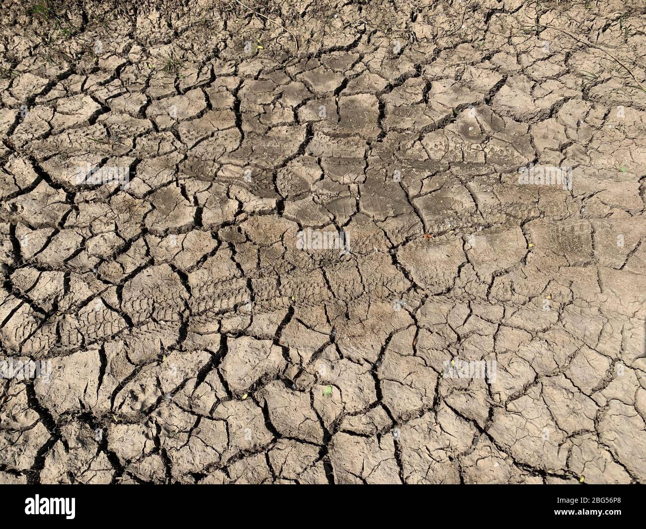 Dried out soil drought drought Stock Photo - Alamy