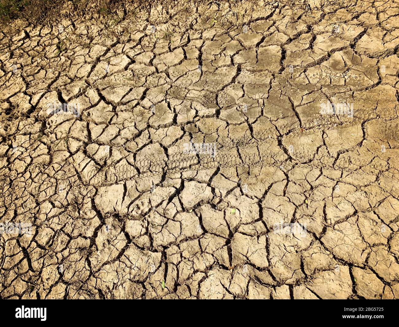 Dried out soil drought drought Stock Photo - Alamy