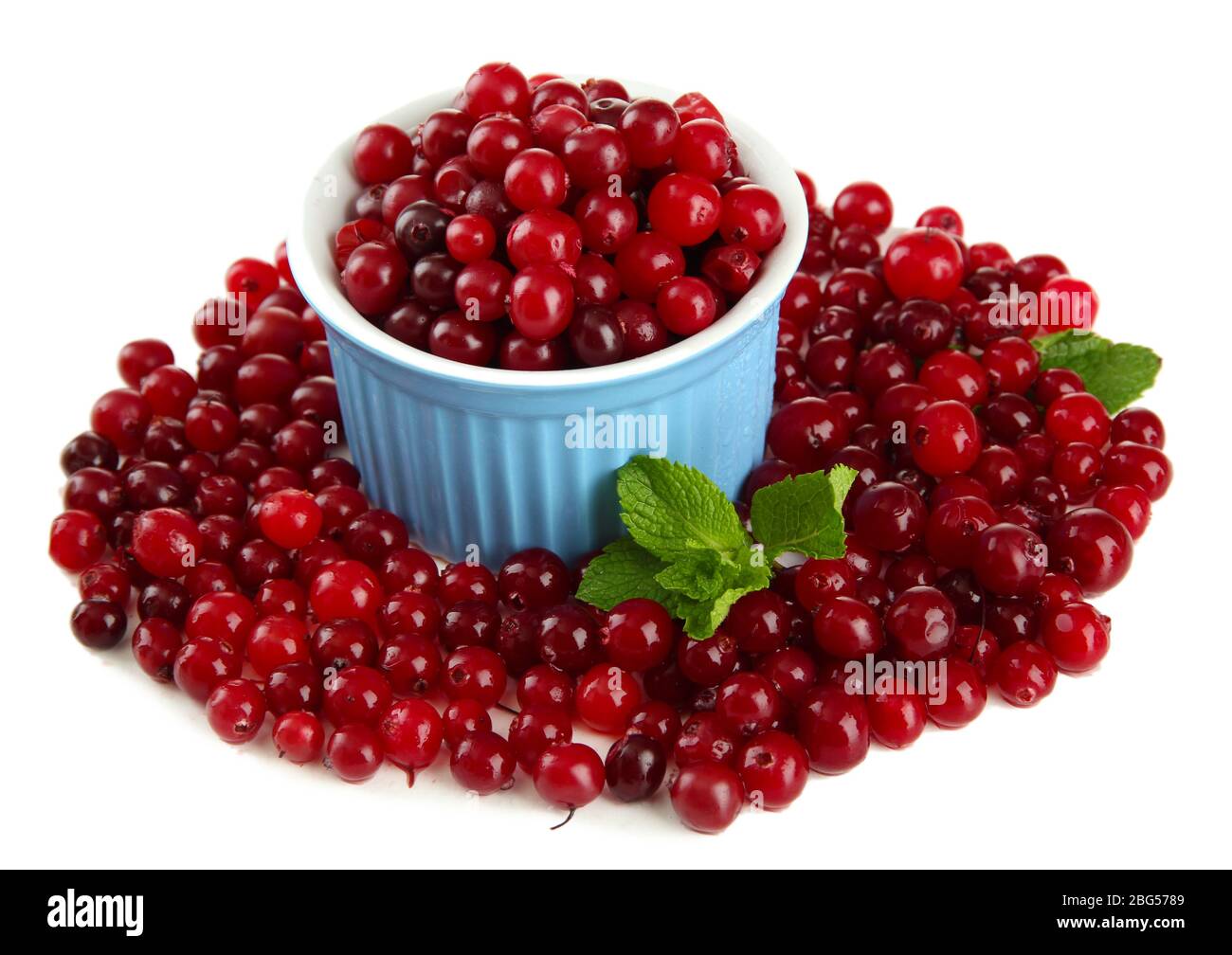 Ripe red cranberries in bowl, isolated on white Stock Photo - Alamy