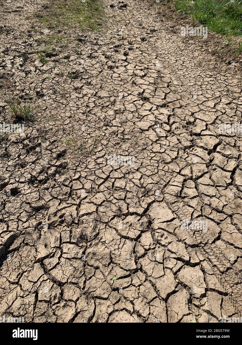 Dried out soil drought drought Stock Photo - Alamy