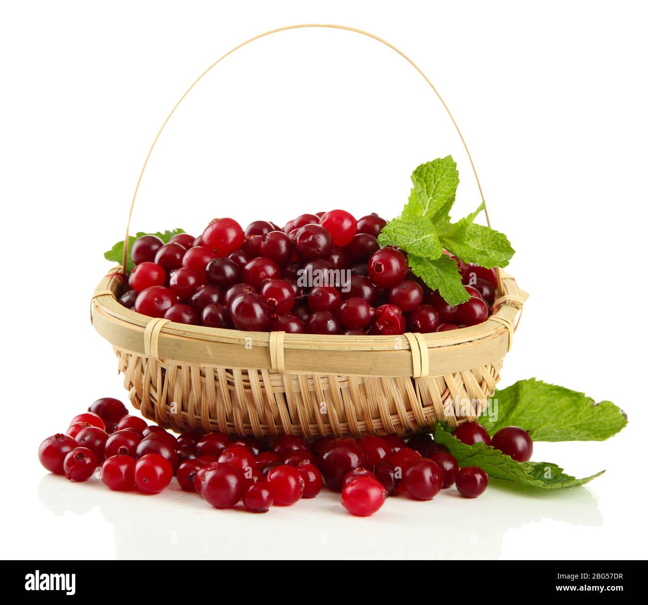 Ripe red cranberries in basket, isolated on white Stock Photo - Alamy