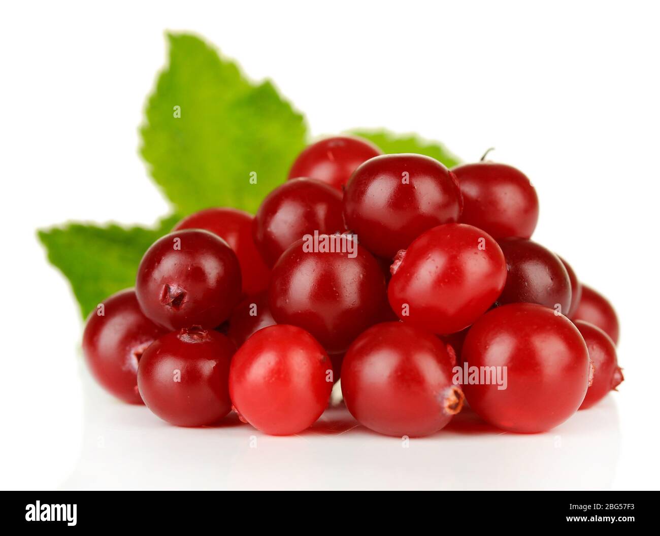 Ripe red cranberries, isolated on white Stock Photo - Alamy