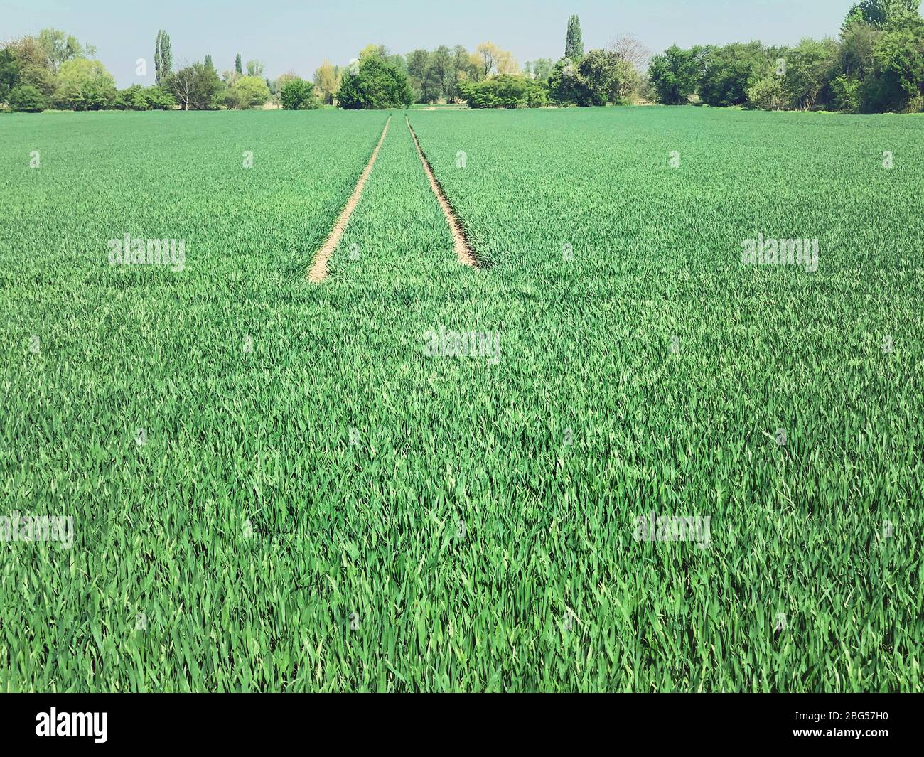 Field cultivation agriculture Stock Photo - Alamy