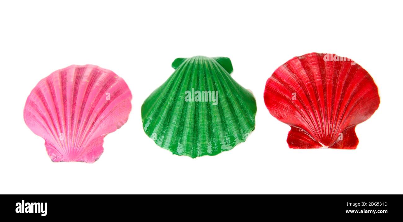 Colorful seashells, isolated on white Stock Photo - Alamy