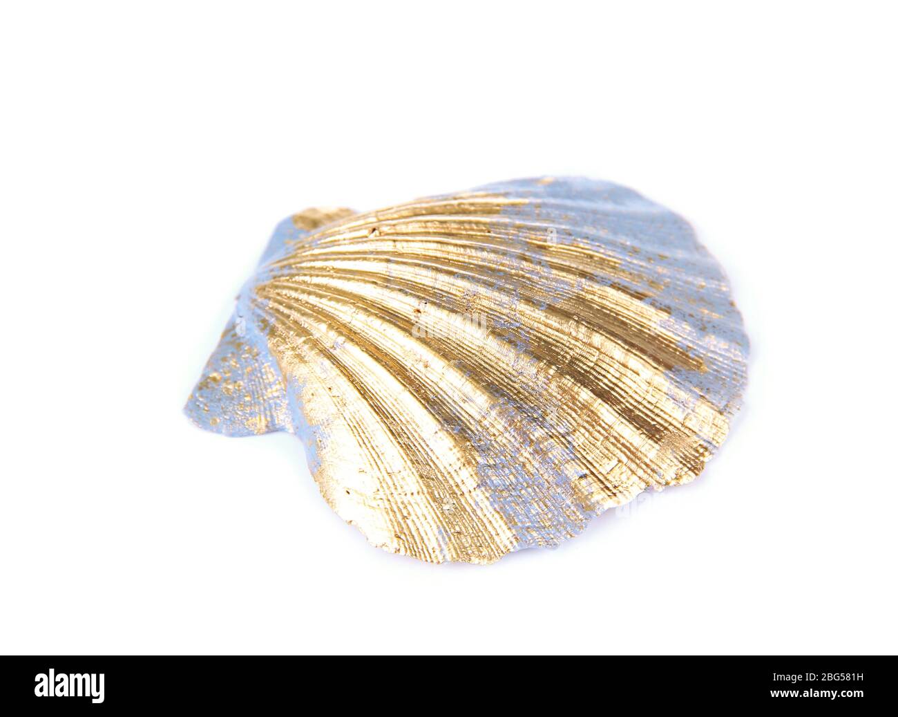 Colorful seashell isolated on white Stock Photo - Alamy