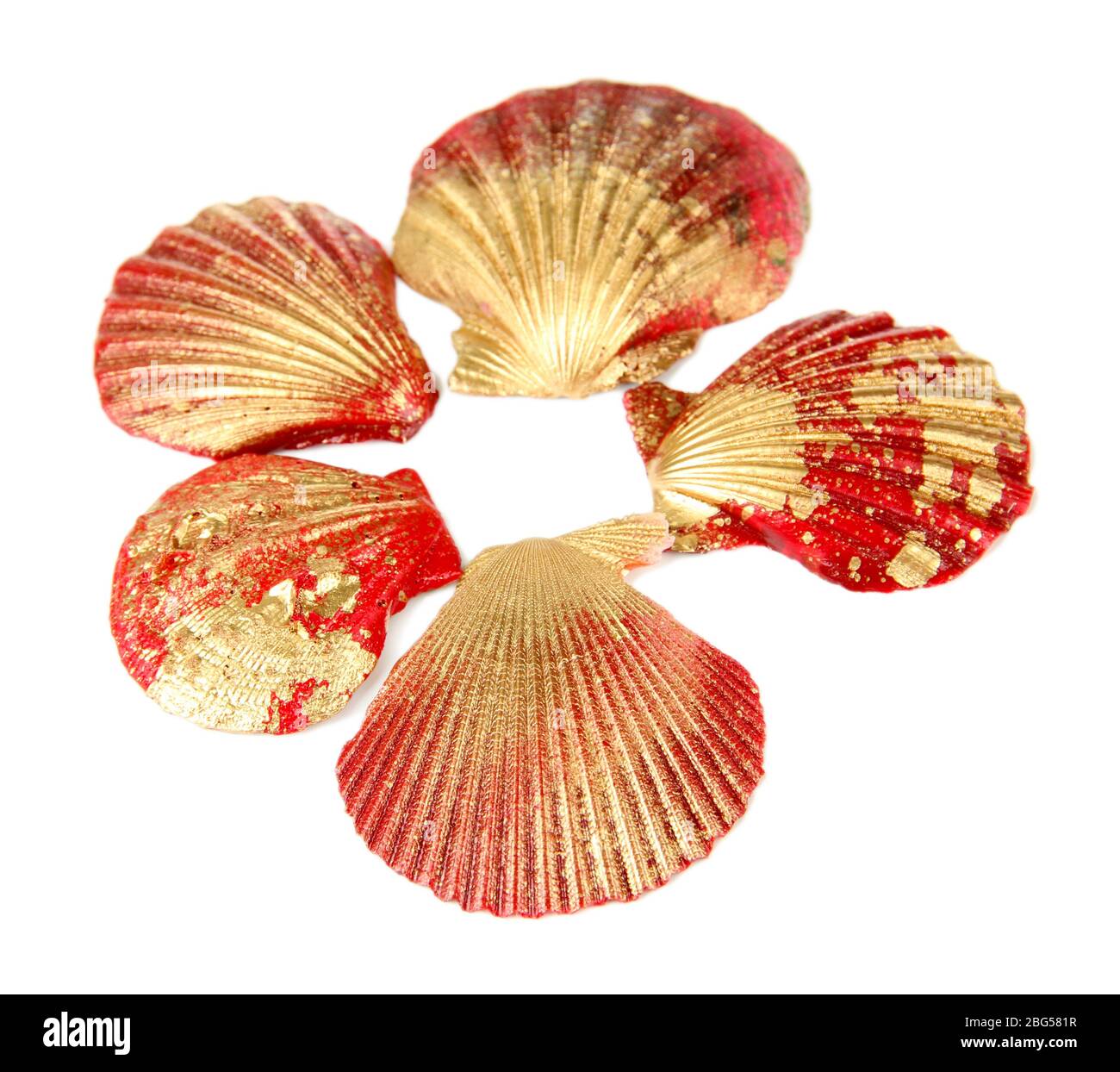 Colorful seashells, isolated on white Stock Photo - Alamy