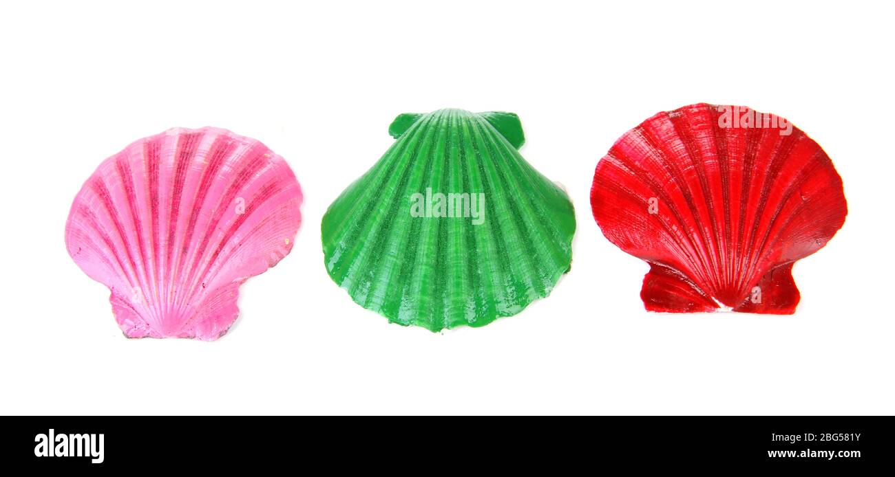 Pink seashells Cut Out Stock Images & Pictures - Alamy