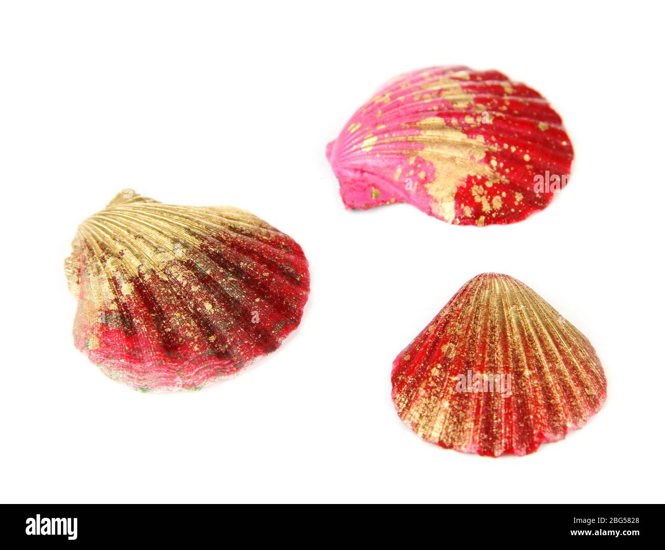 Colorful seashells, isolated on white Stock Photo - Alamy