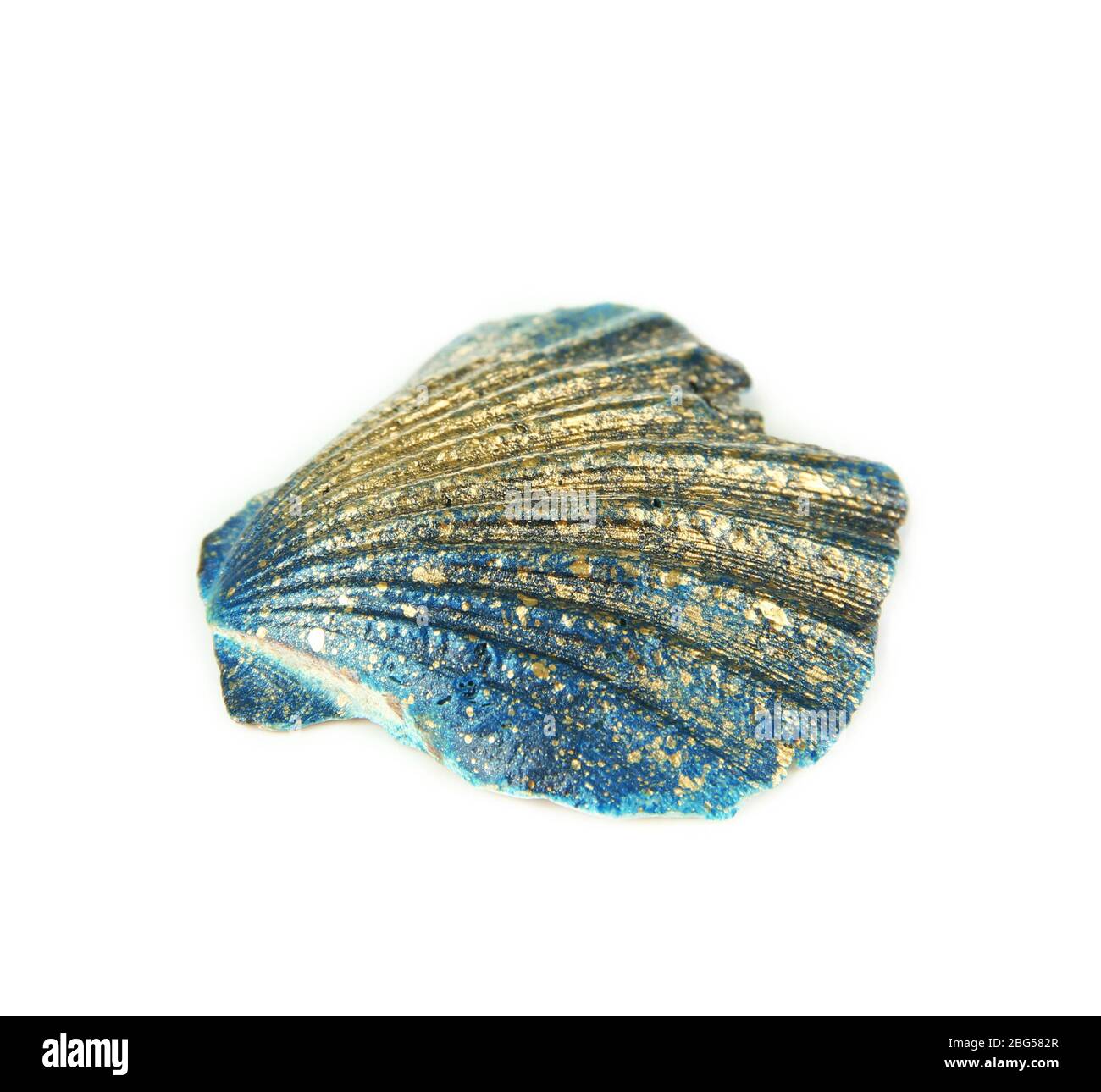 Colorful seashell isolated on white Stock Photo - Alamy