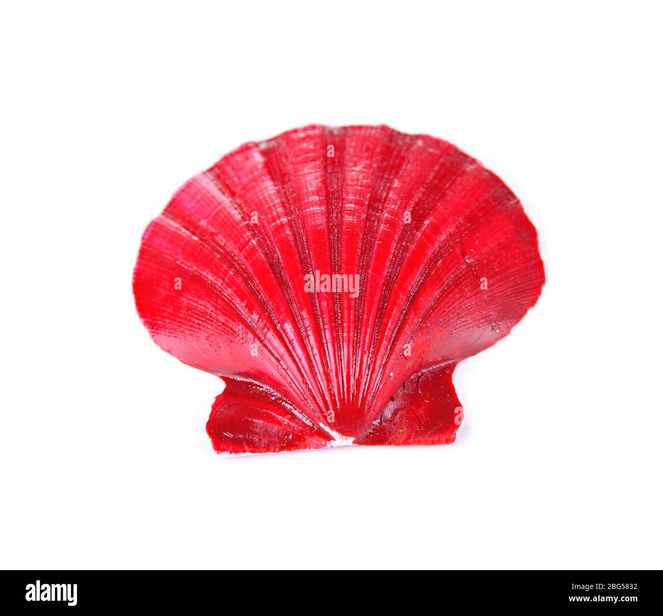 Colorful seashell isolated on white Stock Photo - Alamy