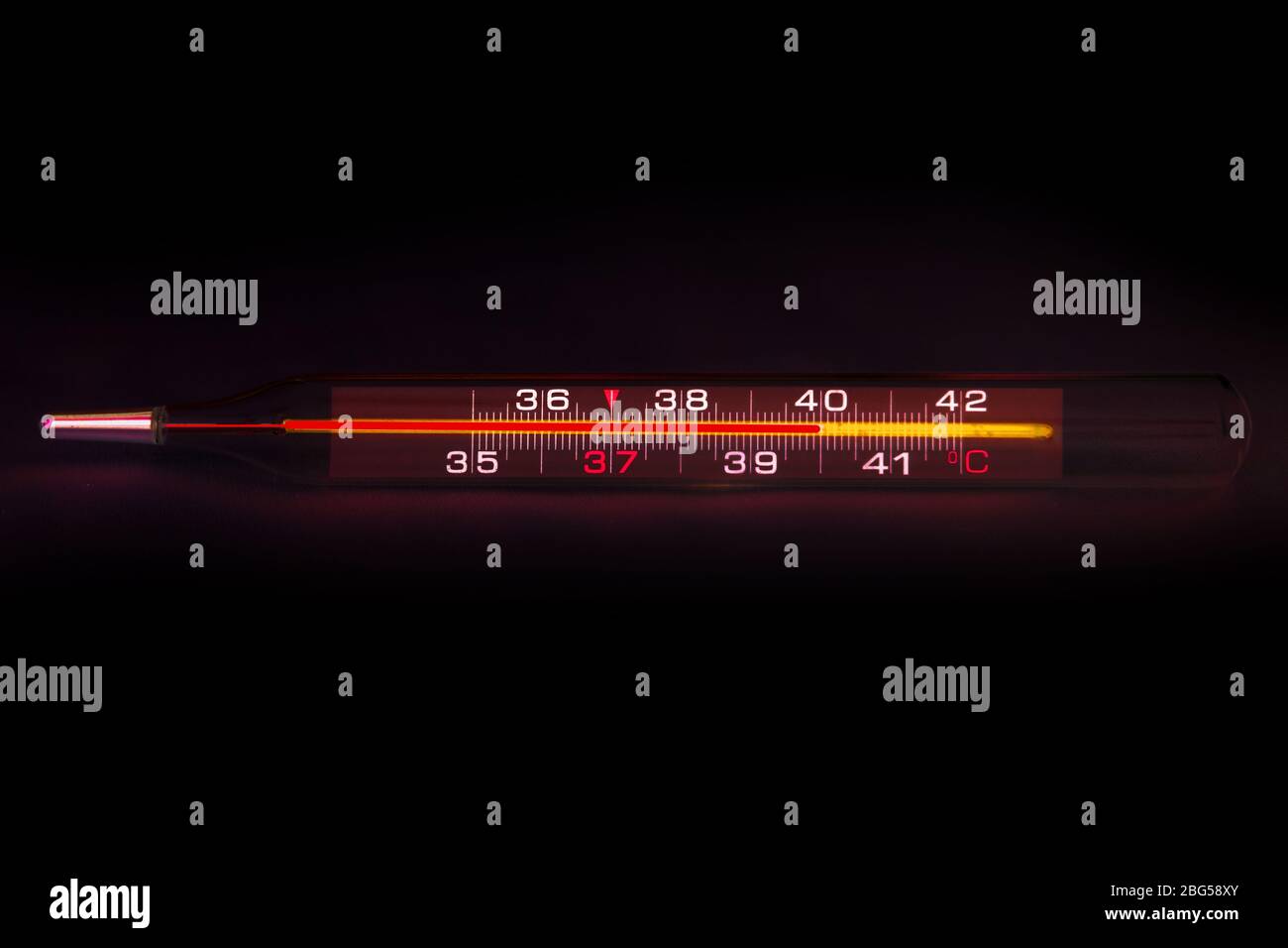 Human thermometer shows temperature on white background. Coronavirus ...