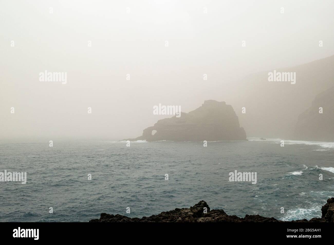 Canary of the sea hi-res stock photography and images - Alamy