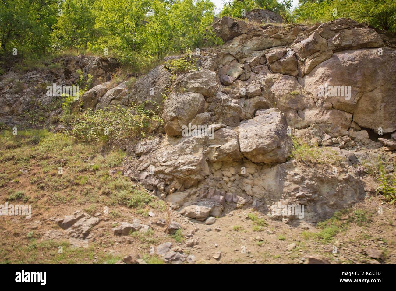 Green forest . rocky path through the mountains . rocky wall of a peak ...