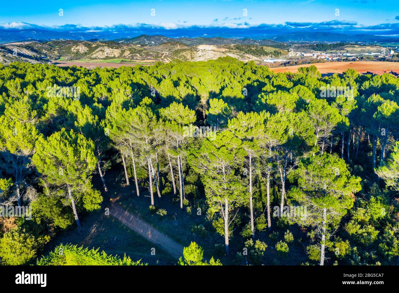 Aerial of conifer forest hi-res stock photography and images - Alamy
