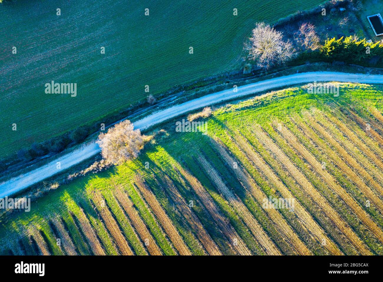 Vineyard aerial view hi-res stock photography and images - Alamy