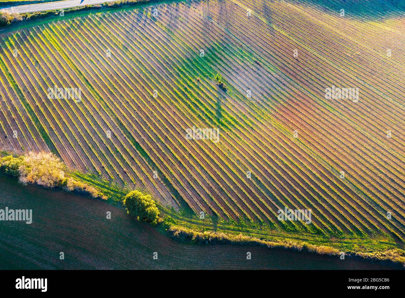 Vineyard aerial view hi-res stock photography and images - Alamy