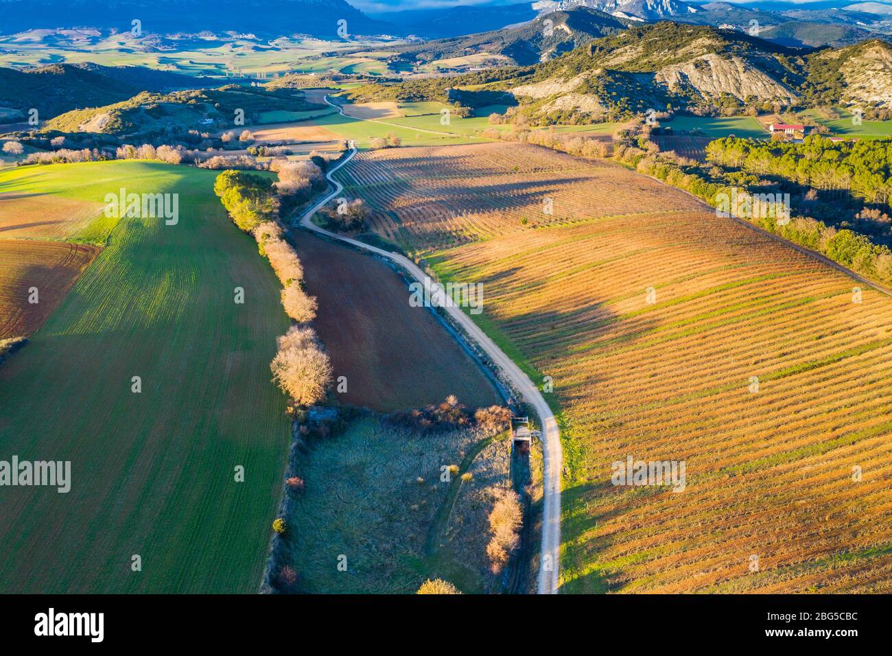 Vineyard aerial view hi-res stock photography and images - Alamy