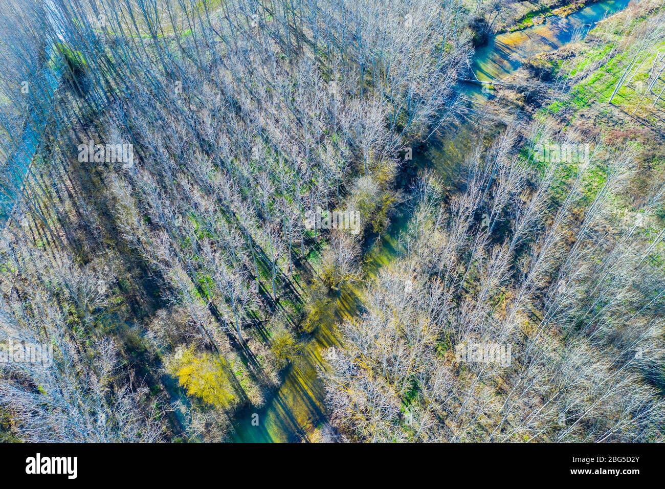 Poplar river hi-res stock photography and images - Alamy