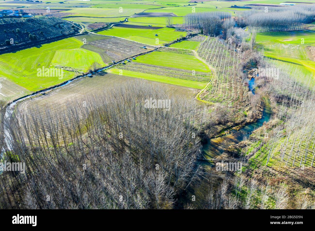 Poplar culture hi-res stock photography and images - Alamy