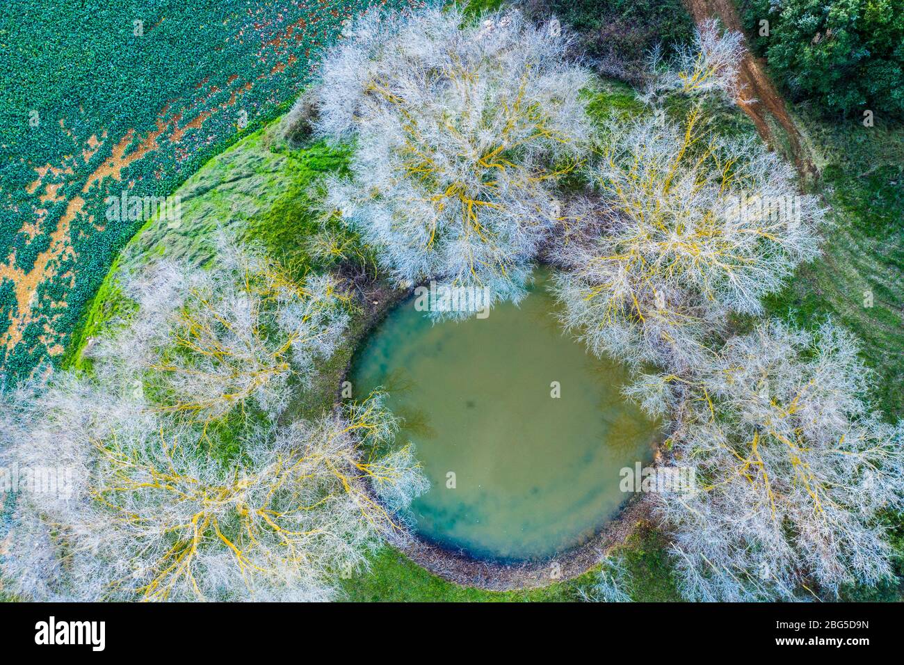 Aerial view natural pool hi-res stock photography and images - Alamy