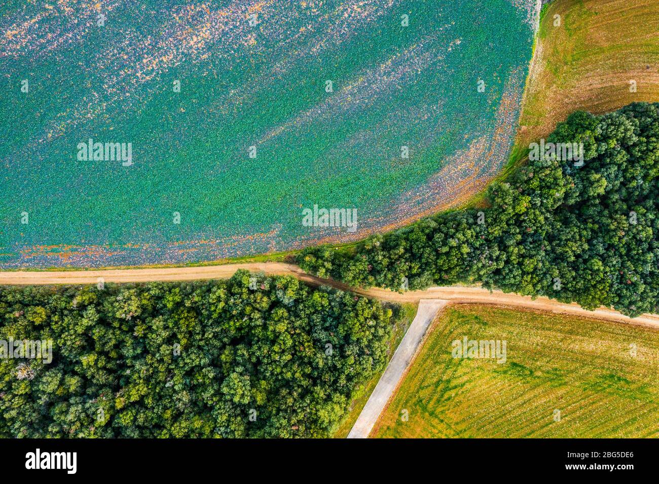 Aerial drone view agricultural land hi-res stock photography and images ...