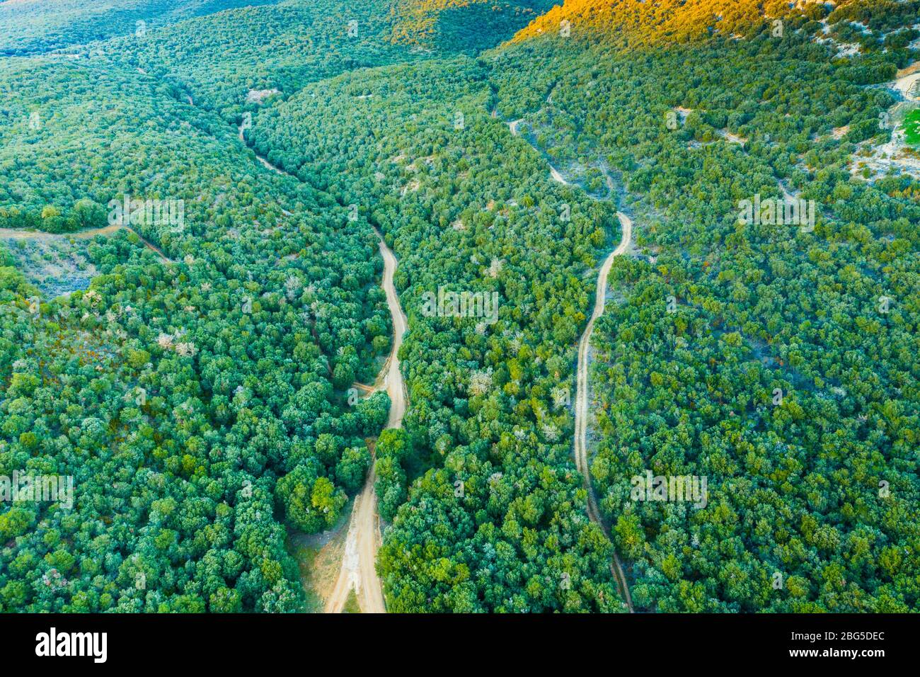 Aerial woodland view hi-res stock photography and images - Alamy