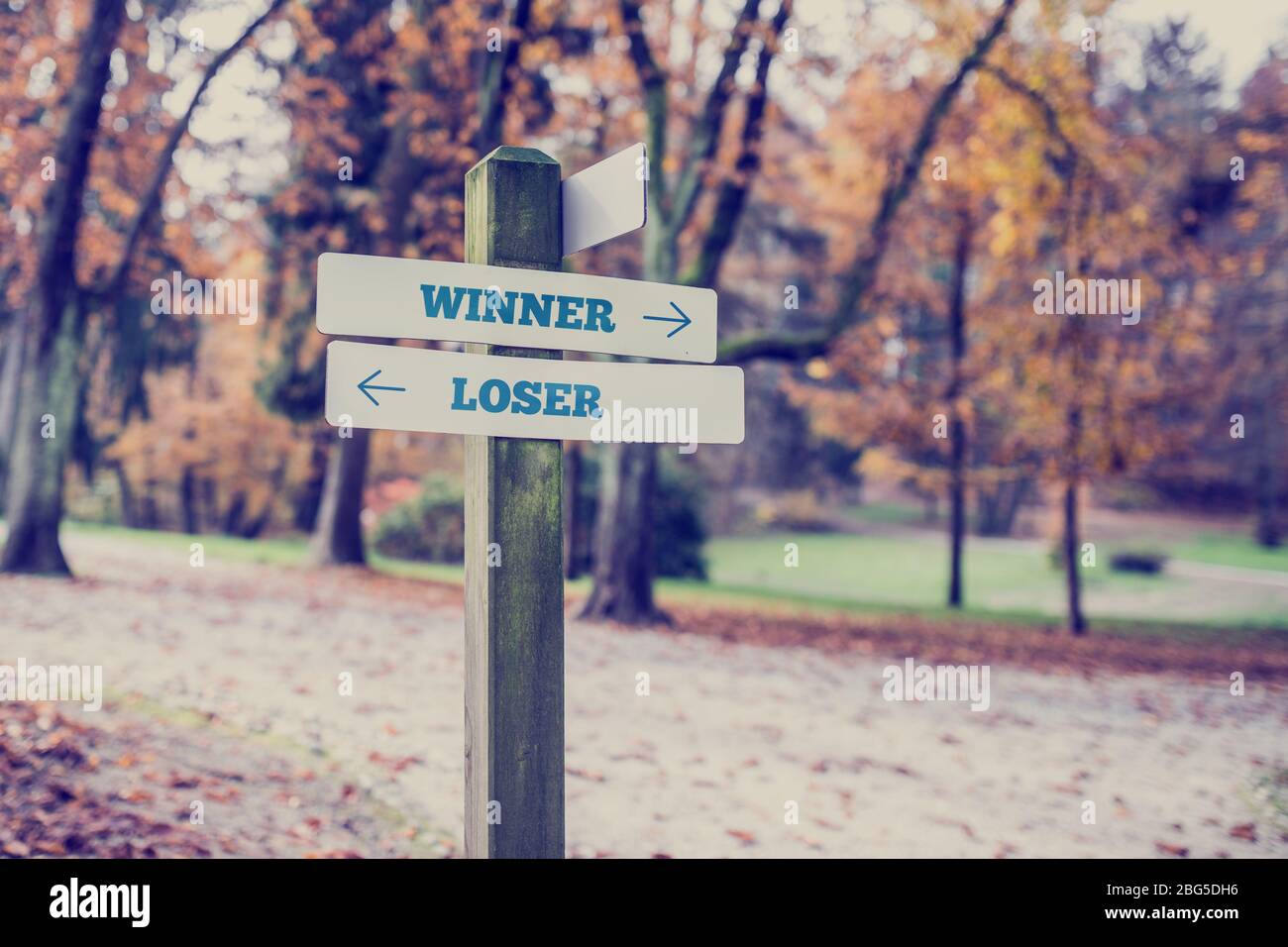 Rural signboard with two signs saying - Winner - Loser - pointing in ...