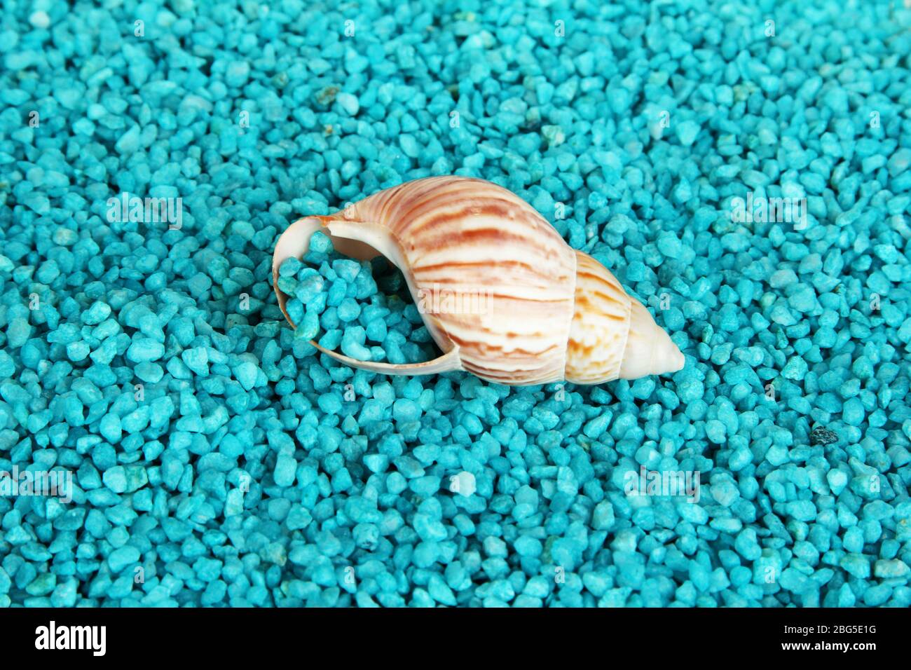 Shell on blue crystals of sea salt background Stock Photo - Alamy