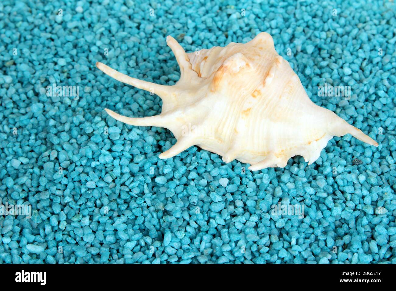 Shell on blue crystals of sea salt background Stock Photo - Alamy