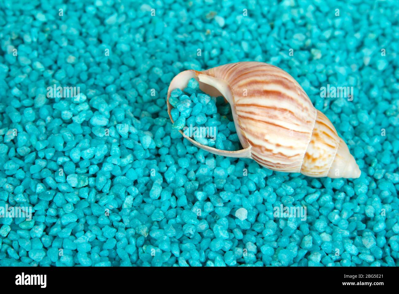 Shell on blue crystals of sea salt background Stock Photo - Alamy