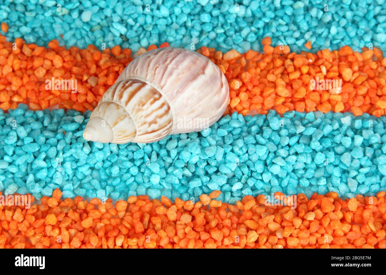 Shell on colorful crystals of sea salt background Stock Photo - Alamy