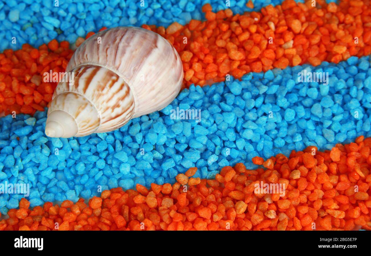Shell on colorful crystals of sea salt background Stock Photo - Alamy